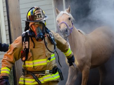 Barn Fire Prevention Tool – The Horse Portal