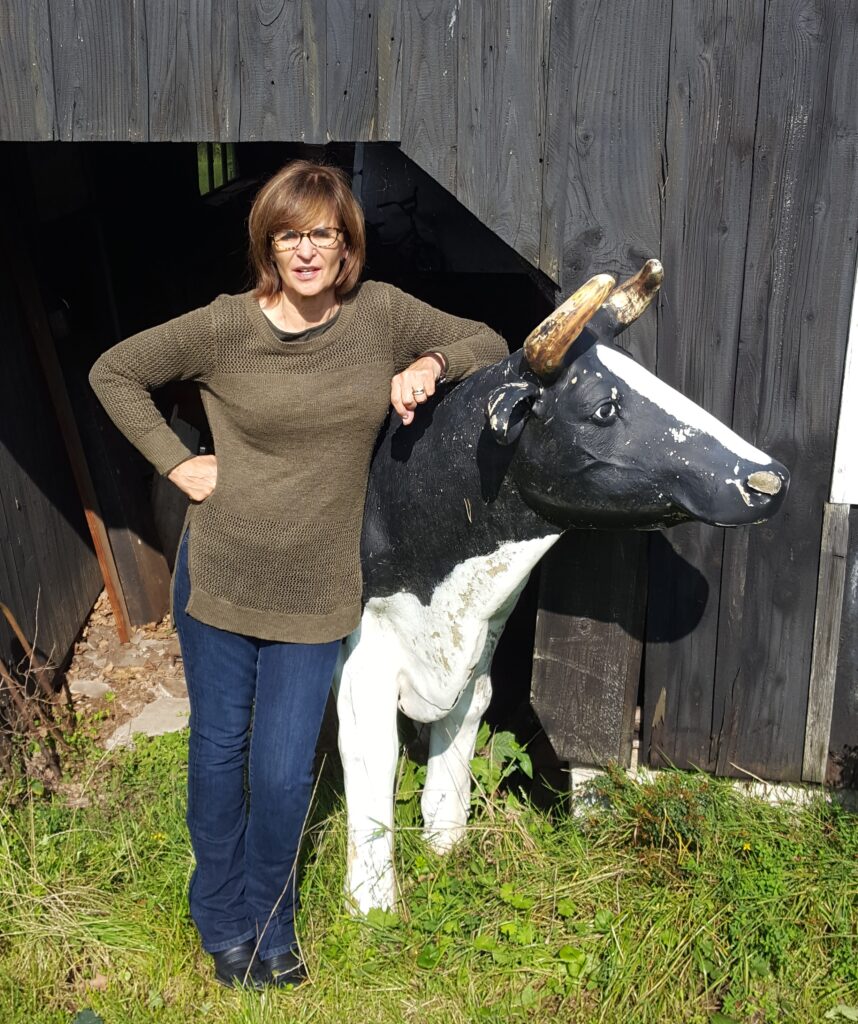 Large Animal Rescue Workshop (Awareness Level: Hands on) – 1 Day – The ...