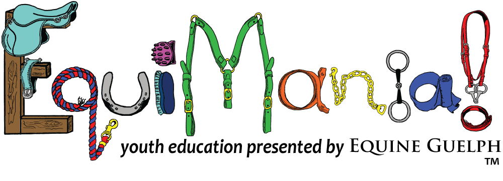 EquiMania! Online for Kids – The Horse Portal