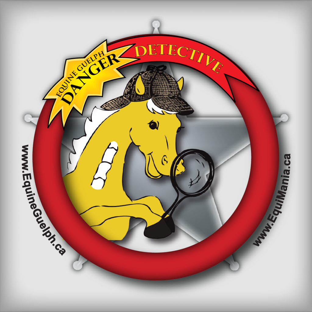 EquiMania! Online for Kids – The Horse Portal