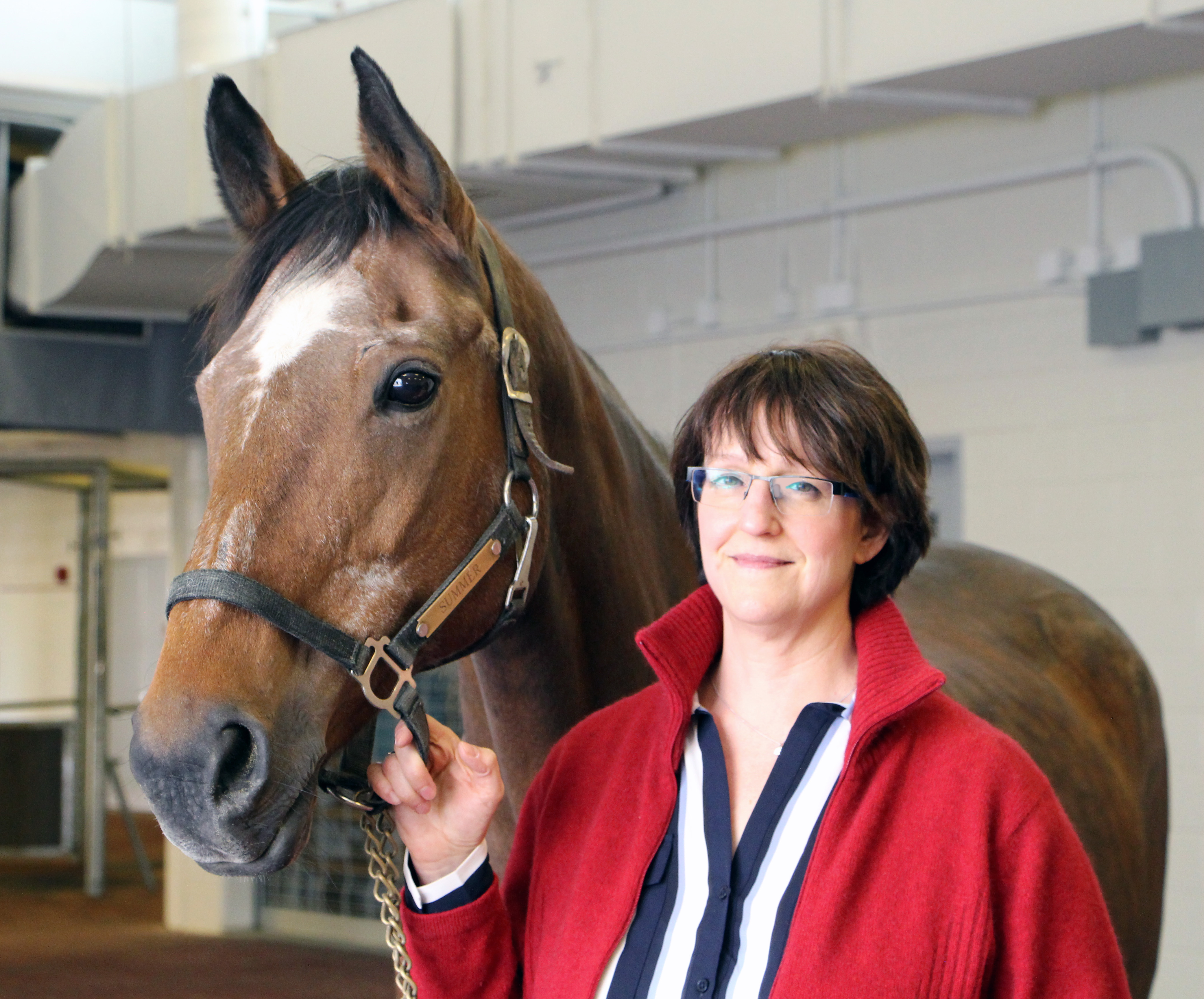 Equine First Aid – Fall ’25 – The Horse Portal