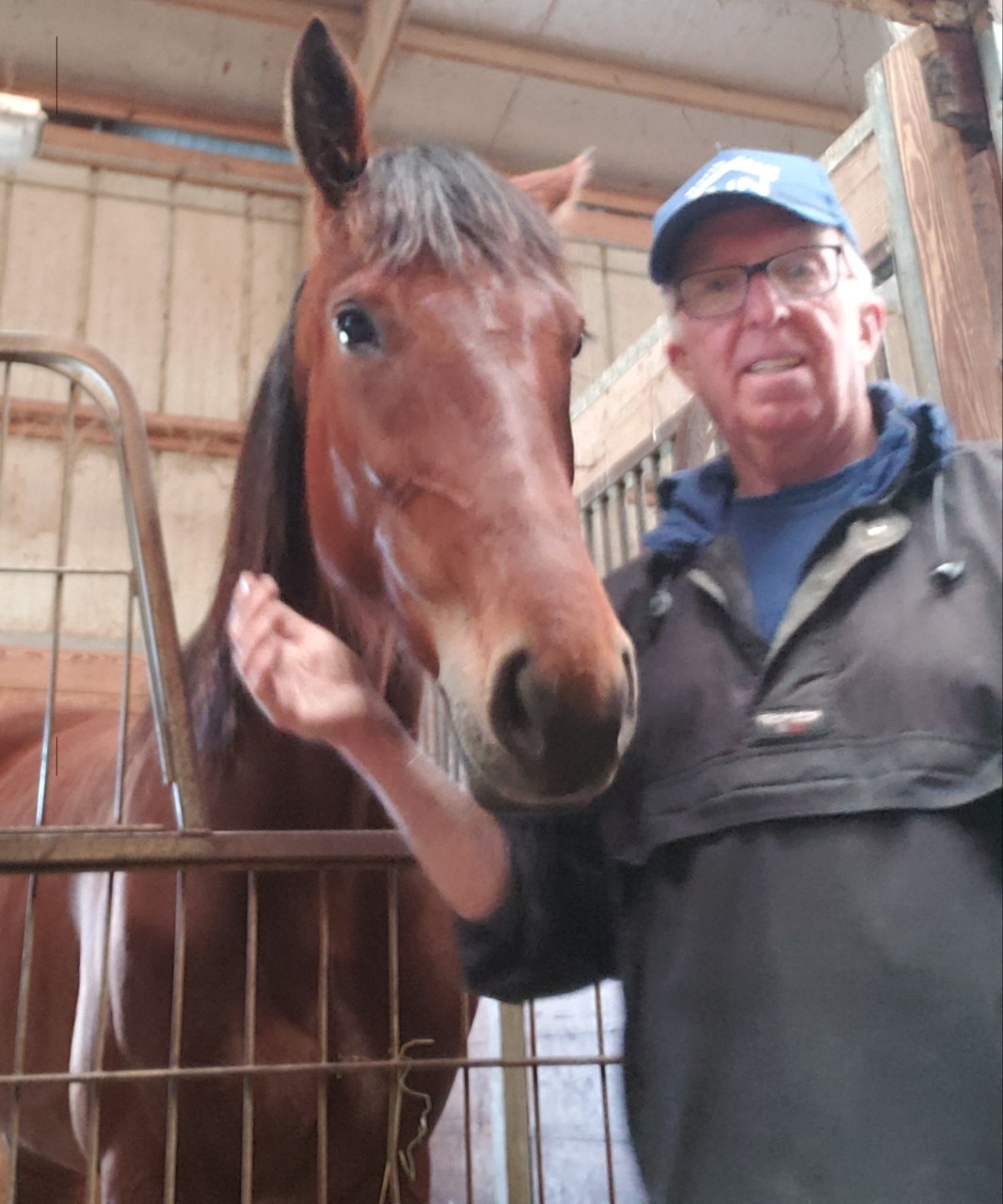 Racehorse Respiratory Health – Winter ’25 – The Horse Portal