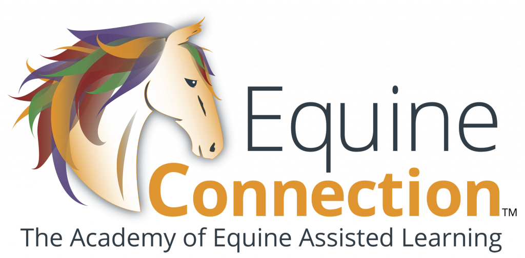 Equine Connection – The Academy of Equine Assisted Learning – The Horse ...