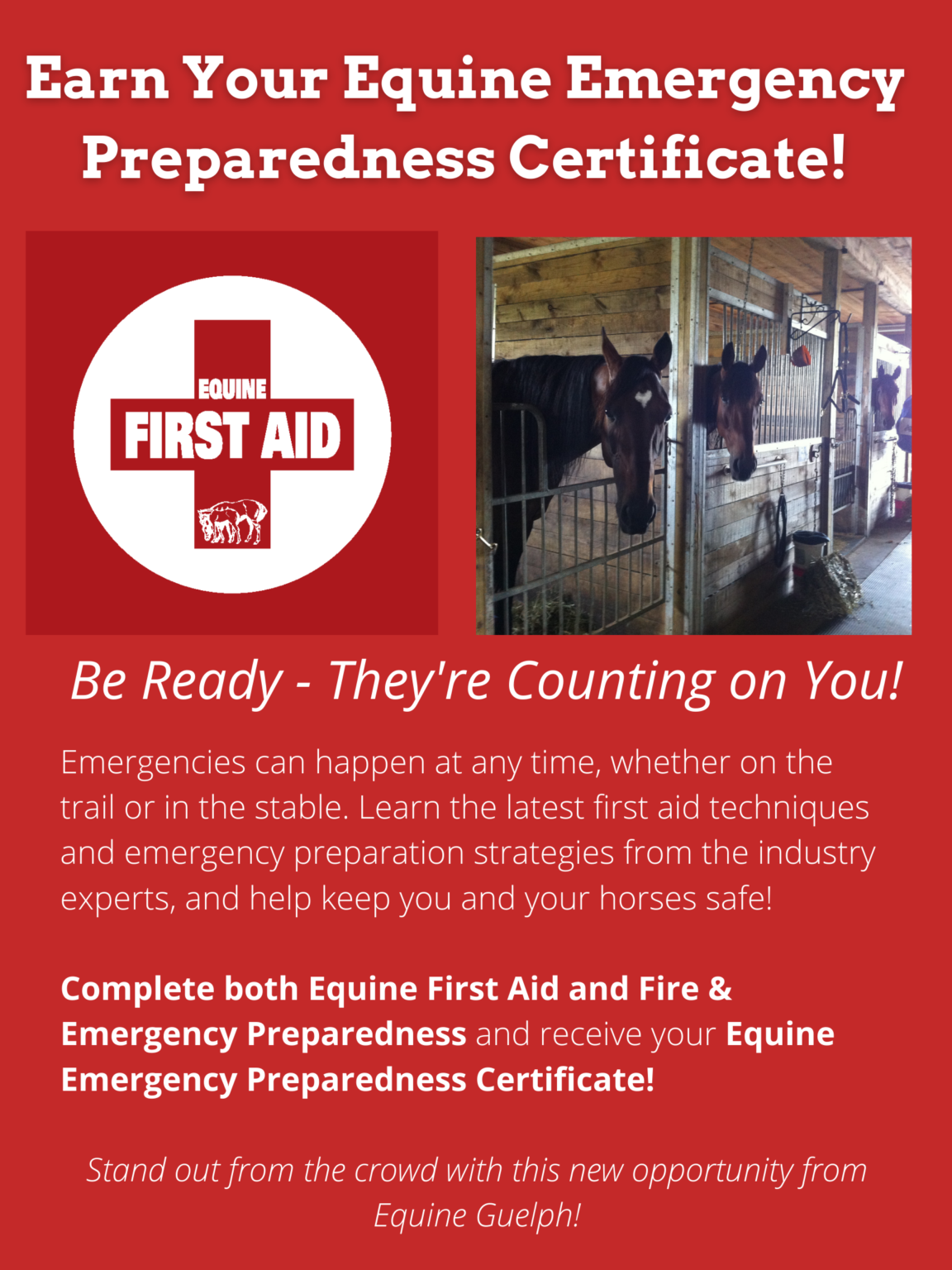 Equine First Aid – Spring ’25 – The Horse Portal