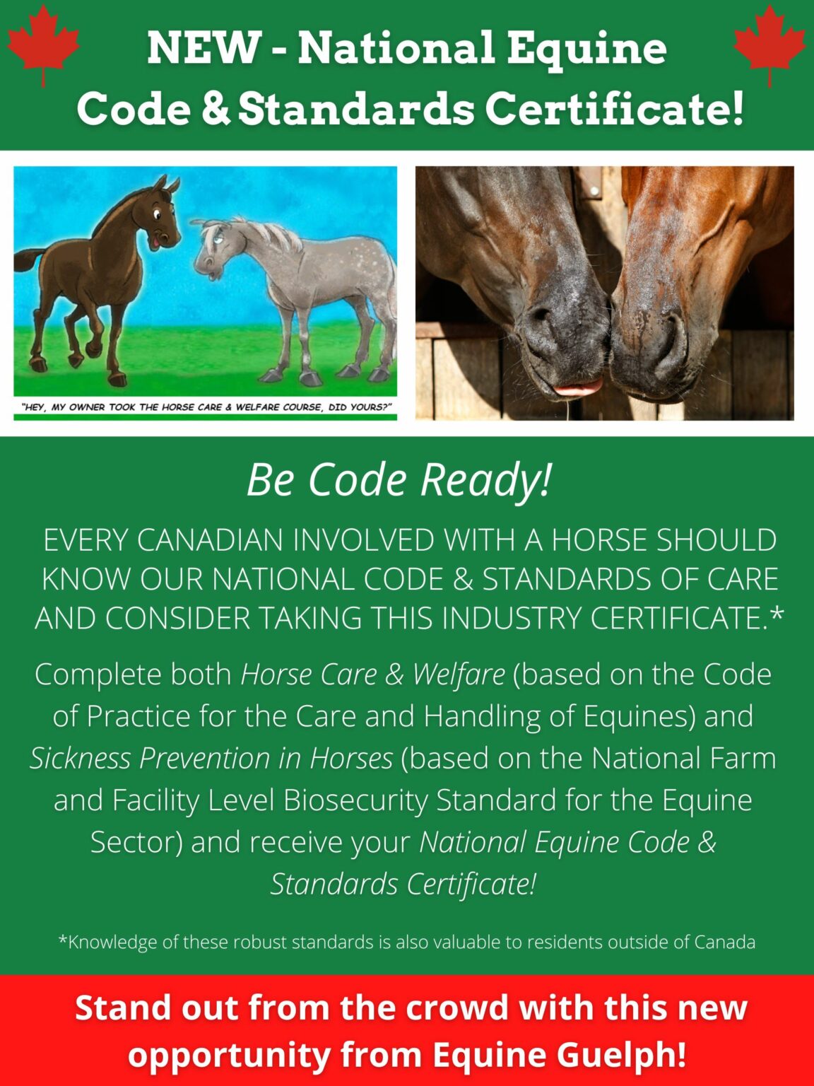 Sickness Prevention in Horses – Spring ’25 – The Horse Portal