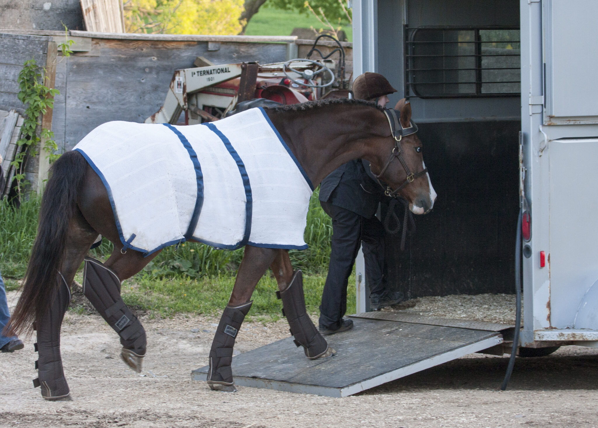 Equine Guelph Drives Home Safety with Online Trailer Course – The Horse ...