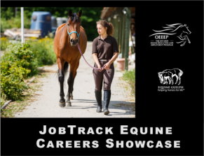 New Equine Careers Showcase for Exploring Career Pathways in the Horse ...