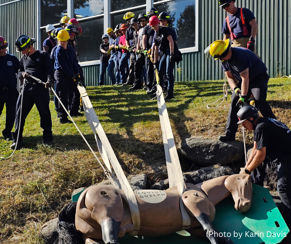 First Responders Ready for Large Animal Emergency Rescue – The Horse Portal