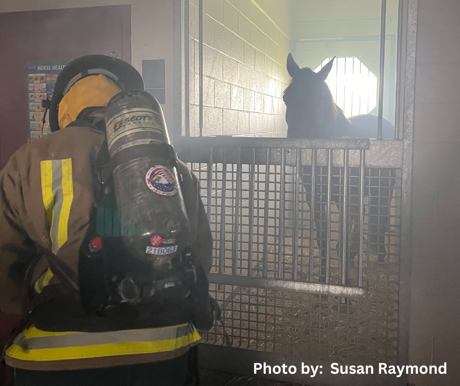 Ontario Firefighters Trained in Large Animal Emergency Rescue ...
