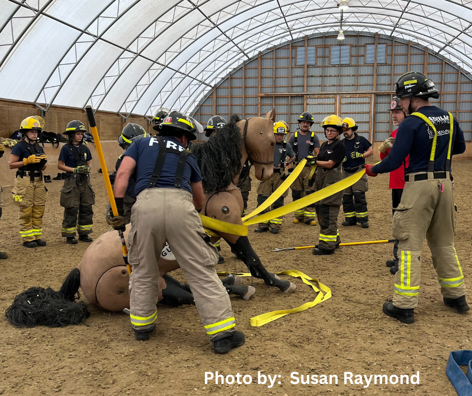 Ontario Firefighters Trained in Large Animal Emergency Rescue ...