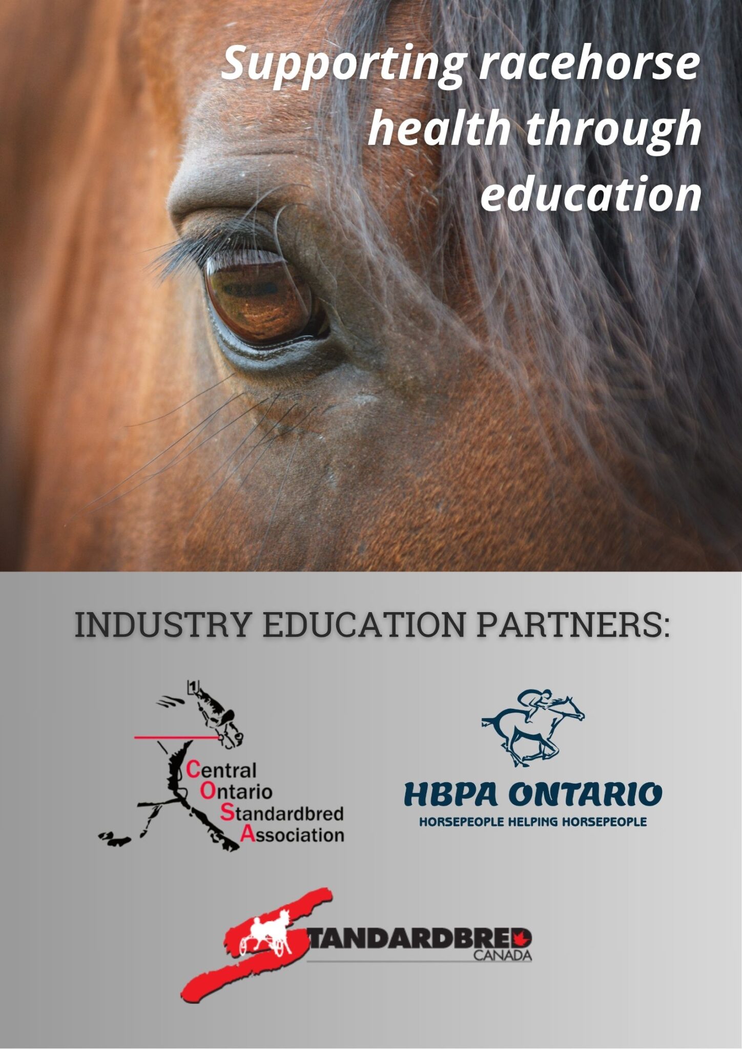 Standardbred Canada – The Horse Portal