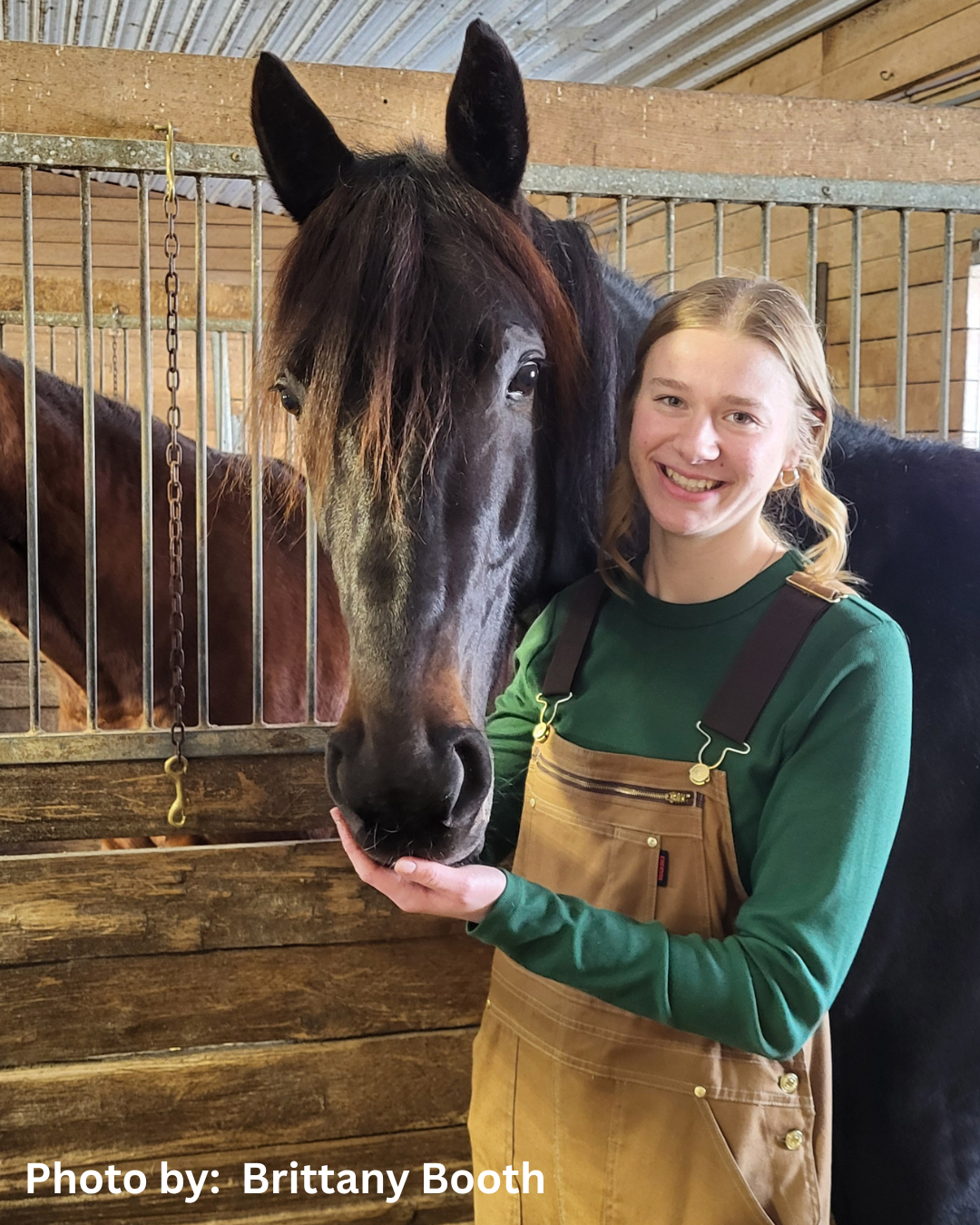 Sara Visser Awarded 2025 Roger L’Heureux Memorial Equine Award – The ...