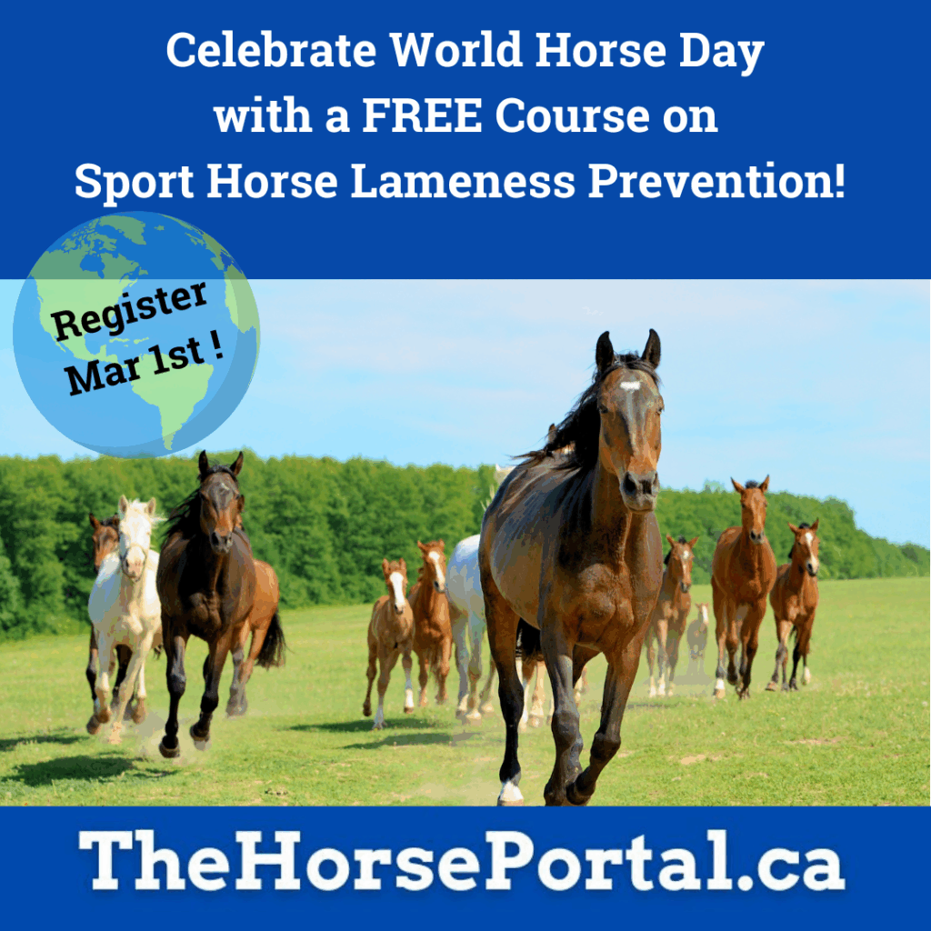 Equine Guelph Offers Sport Horse Lameness/Injury Prevention Course to ...